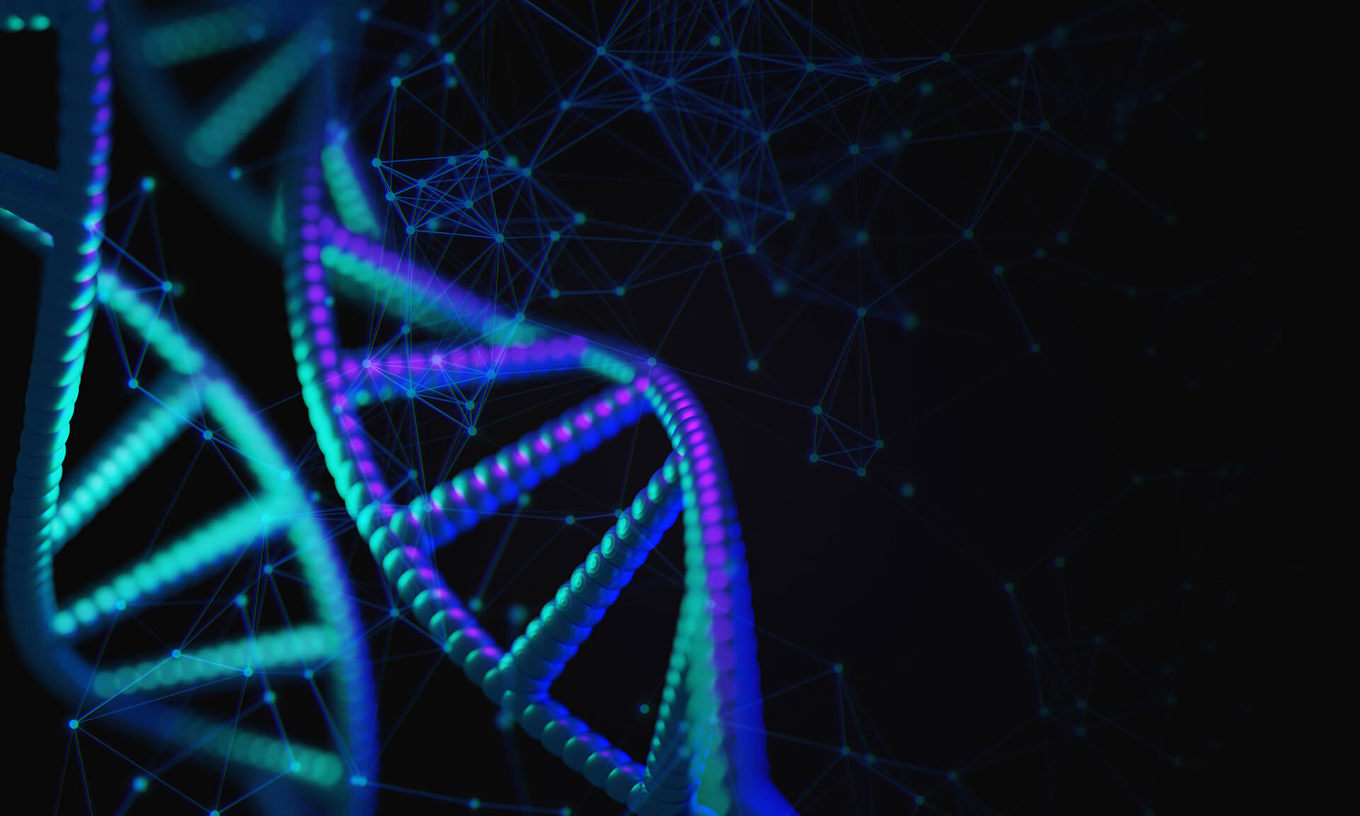 Home - Orbitsolution